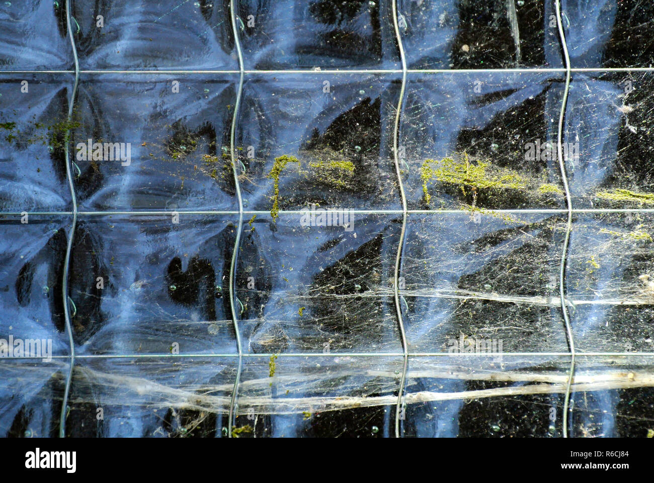 Window With Grid And Spider Web Stock Photo - Alamy