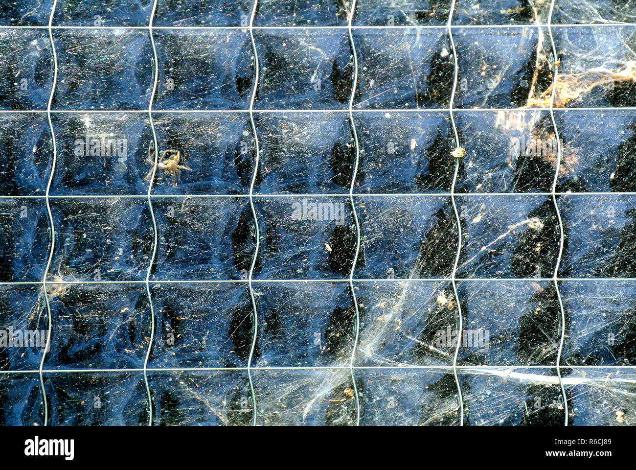Window With Grid And Spider Web Stock Photo - Alamy