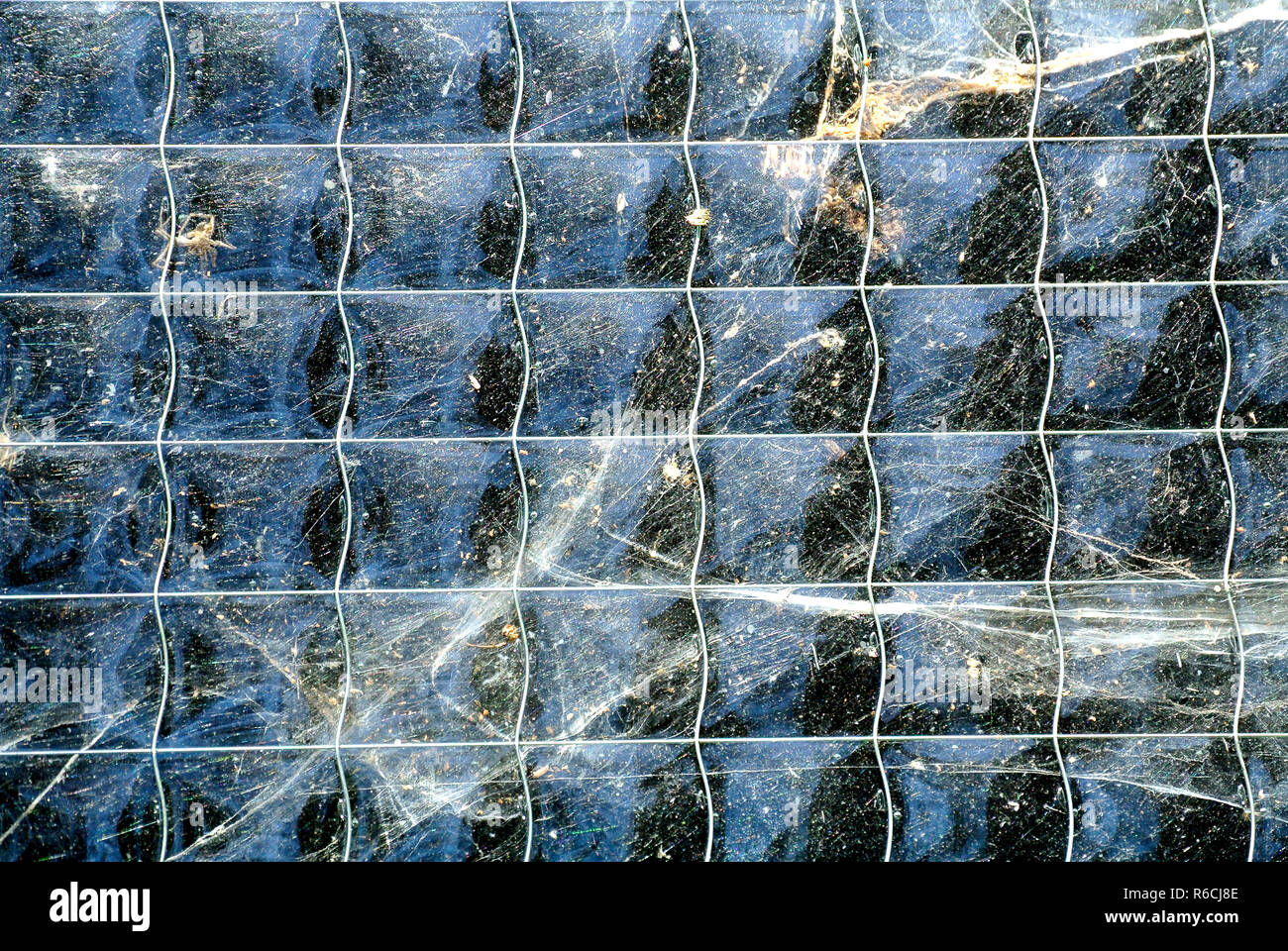 Window With Grid And Spider Web Stock Photo - Alamy