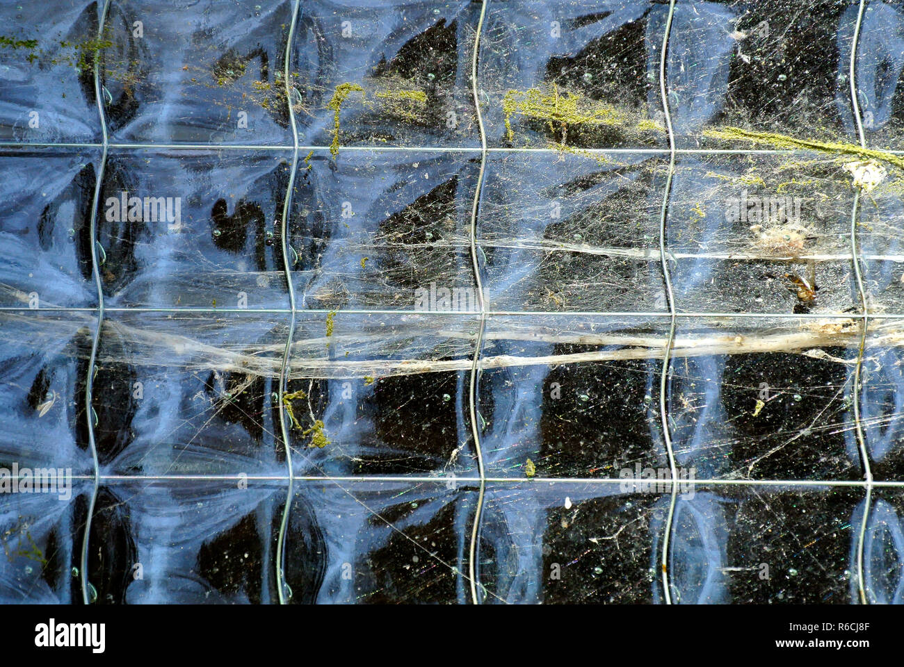 Window With Grid And Spider Web Stock Photo - Alamy