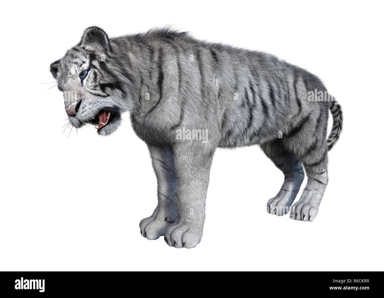 3D Rendering White Tiger on White Stock Photo - Alamy
