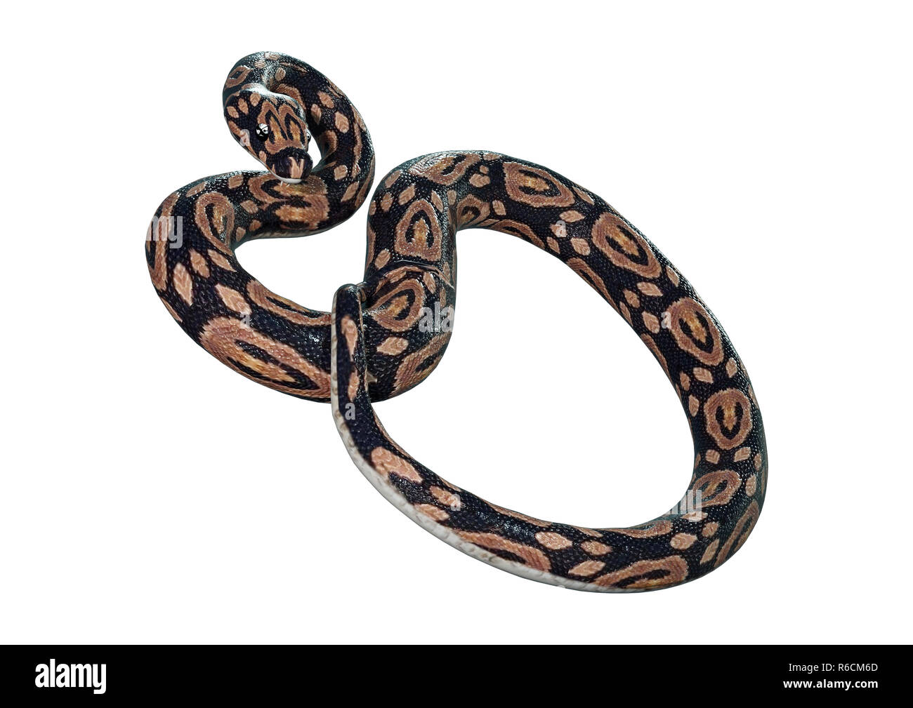 3D Rendering Ball Python on White Stock Photo - Alamy