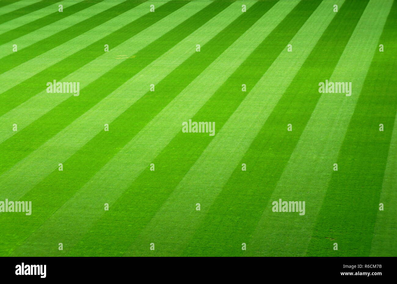 empty playing field in a football stadium Stock Photo - Alamy