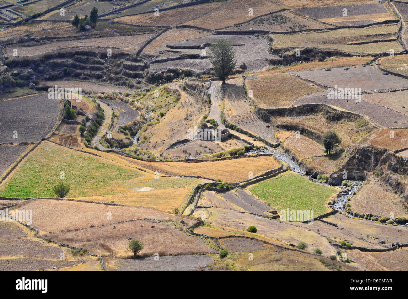 Peru, Colca Valley, Terrace Cultivation Stock Photo - Alamy