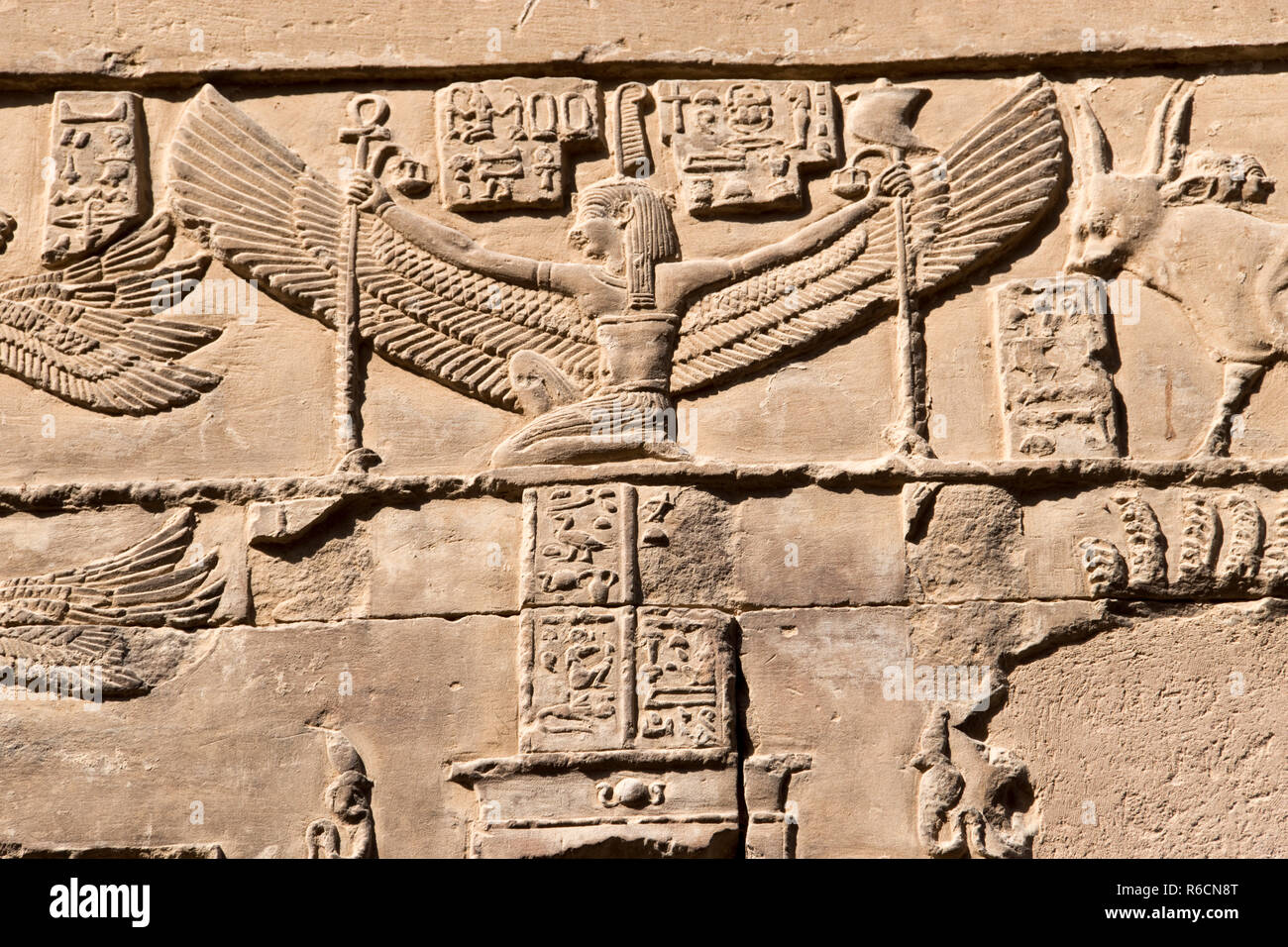 Bas relief images carved on a wall of the Temple of Kom Ombo, in Kom ...