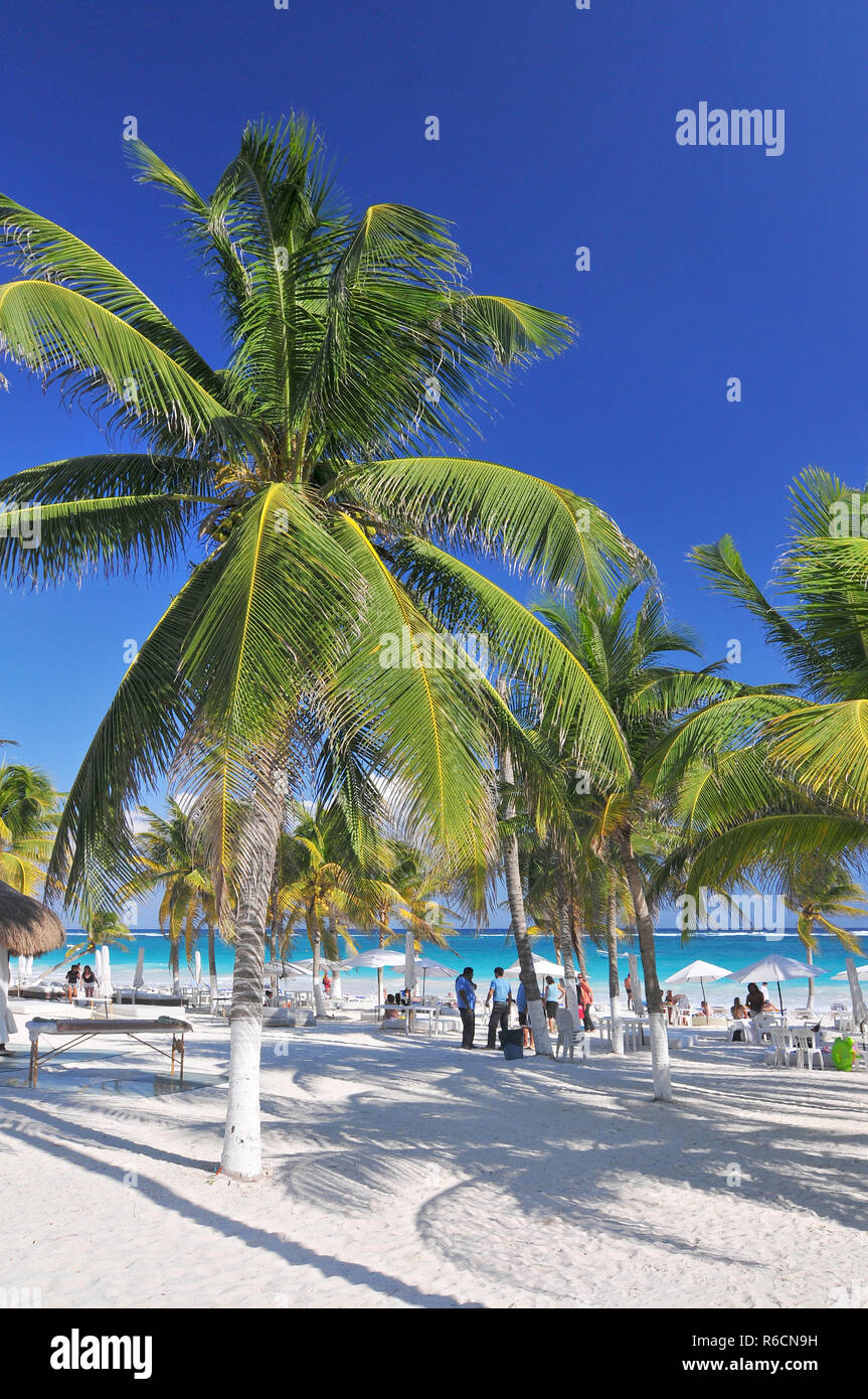 Mexico, Tulum, Beach Stock Photo - Alamy