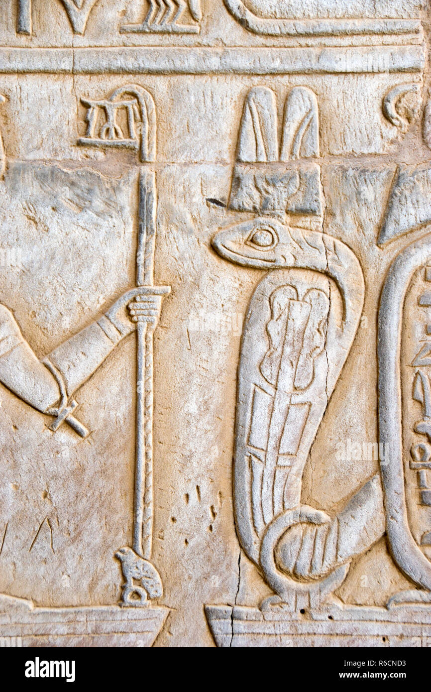 Egyptian cobra snake hi-res stock photography and images - Alamy