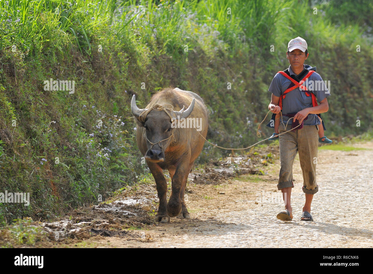 Man with buffalo hi-res stock photography and images - Alamy