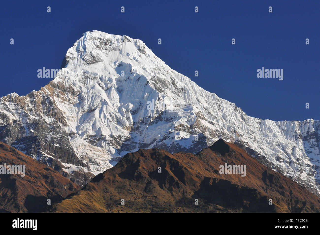 Nepal, Annapurna Conservation Area, Annapurna South View From Tadapani ...