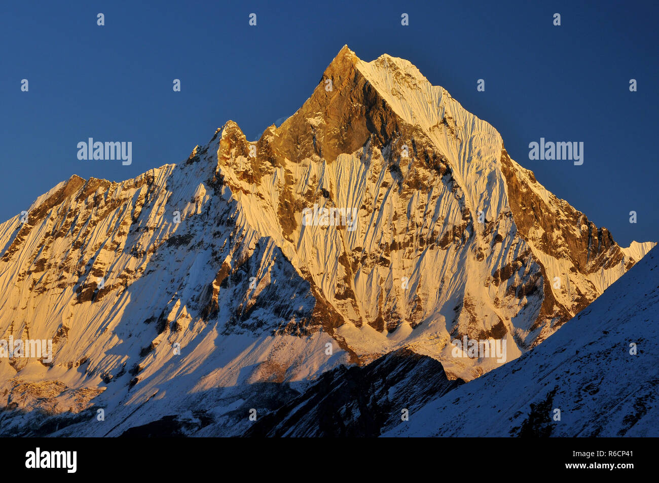 Nepal, Annapurna Conservation Area, Machapuchare Or Machhapuchhre Fish ...