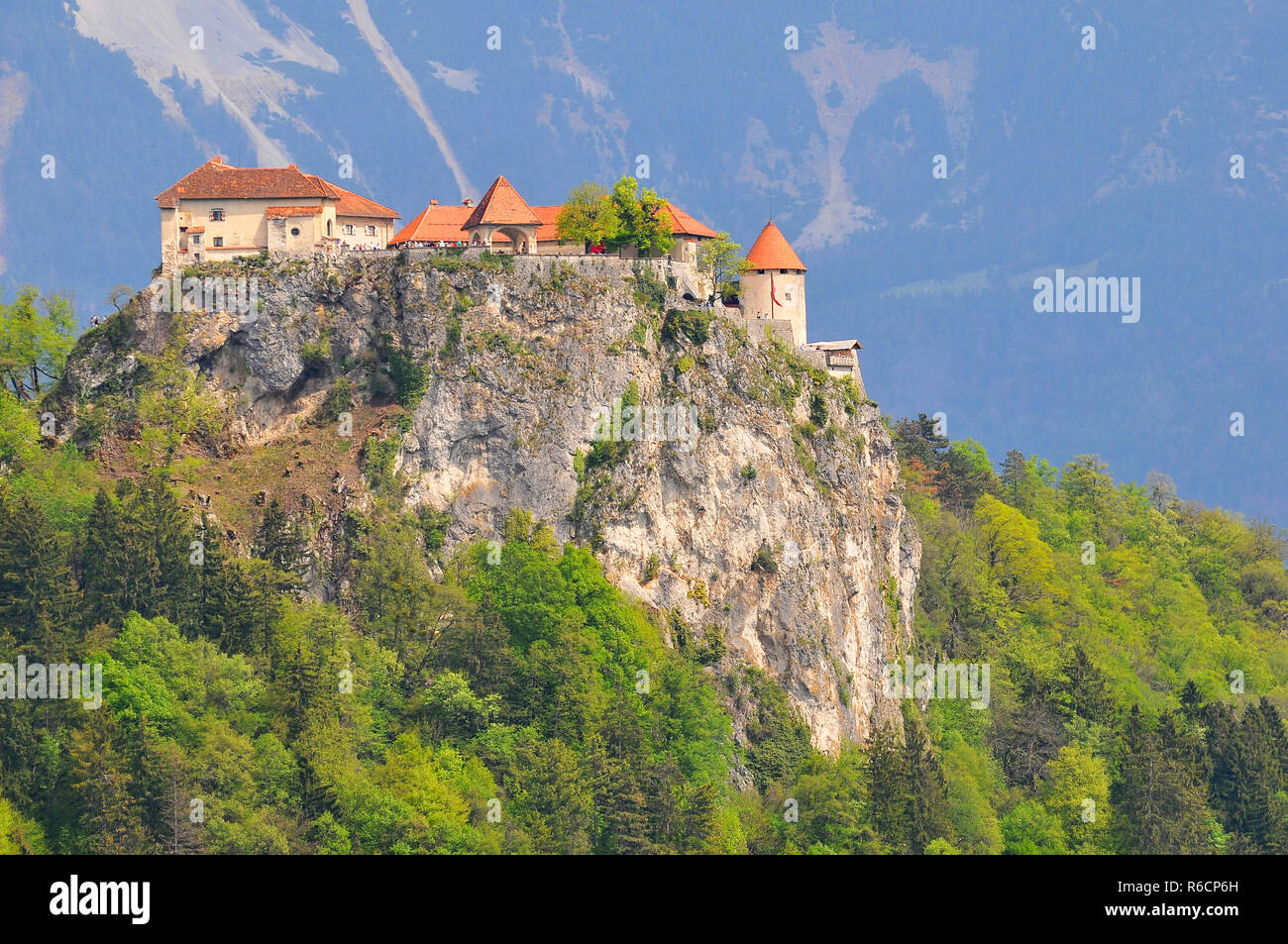 Bled Castle Medieval Castle Built On A Precipice Above The City Of Bled ...