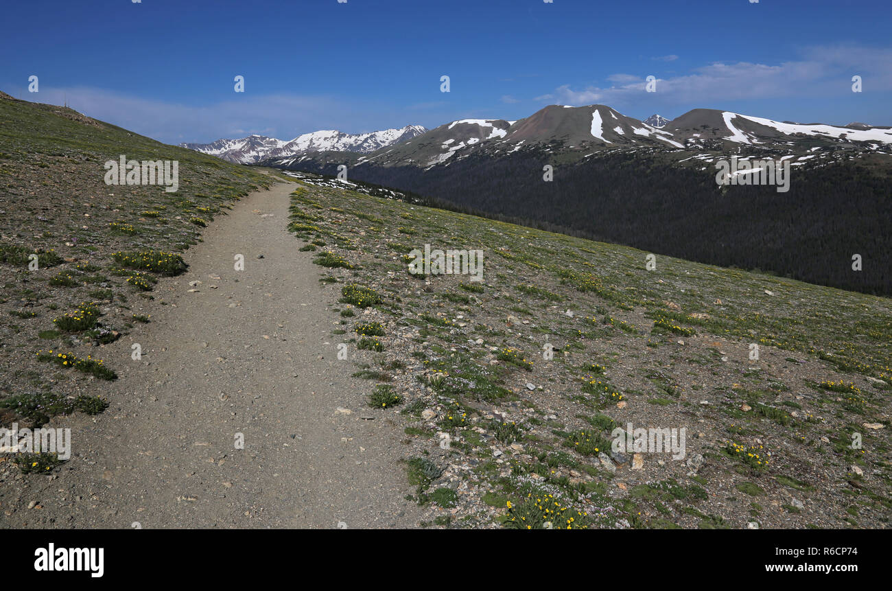 Above ute trail hi-res stock photography and images - Alamy