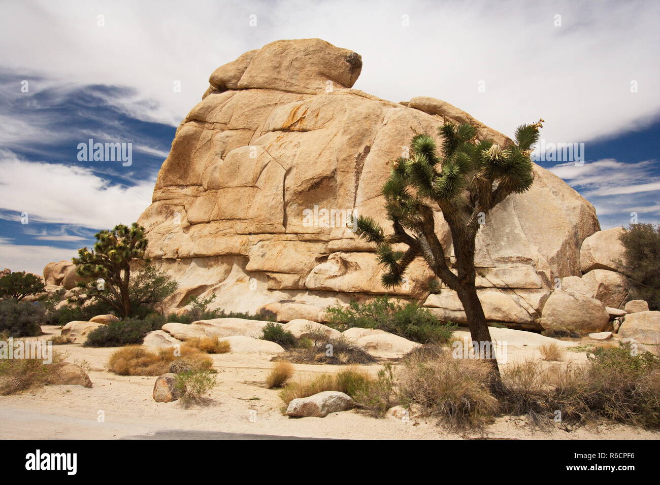 Hidden Valley Campground in Joshua Tree National Park in California in ...
