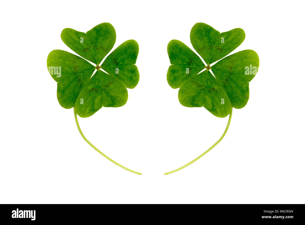 2021 2022 new Cut Out Stock Images & Pictures - Alamy