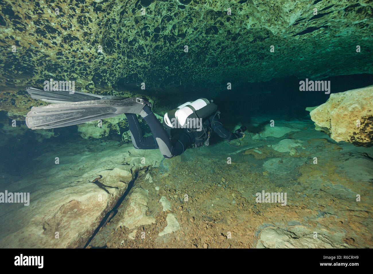 divers underwater caves diving Ginnie Springs Florida USA Stock Photo ...