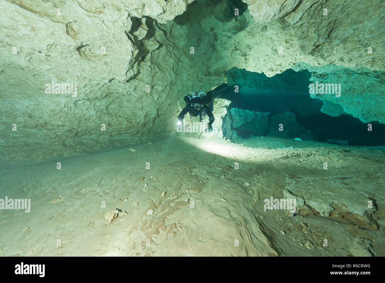 Cave dive florida hi-res stock photography and images - Alamy