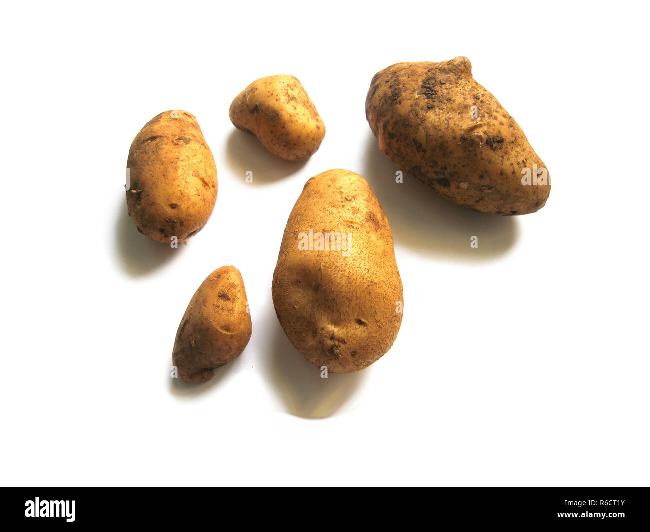 Potato yield Cut Out Stock Images & Pictures - Alamy