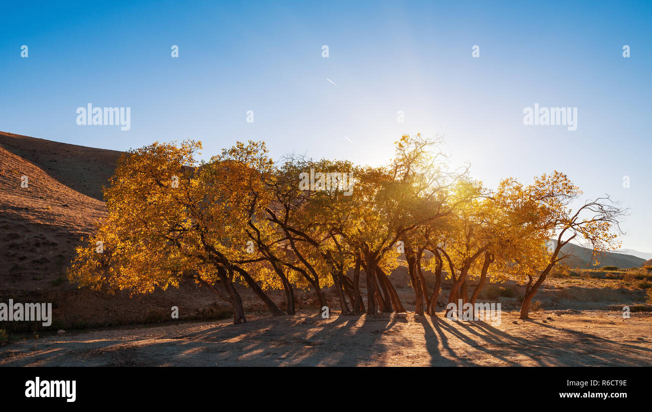 Yellow sunlight september hi-res stock photography and images - Alamy