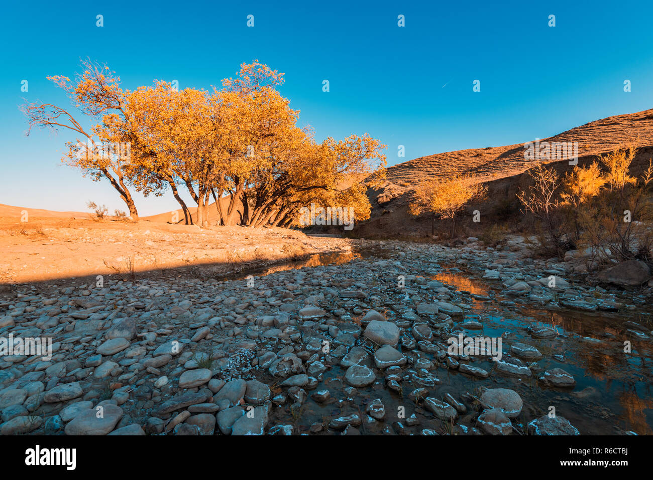 Dry mountain river in autumn season Stock Photo - Alamy