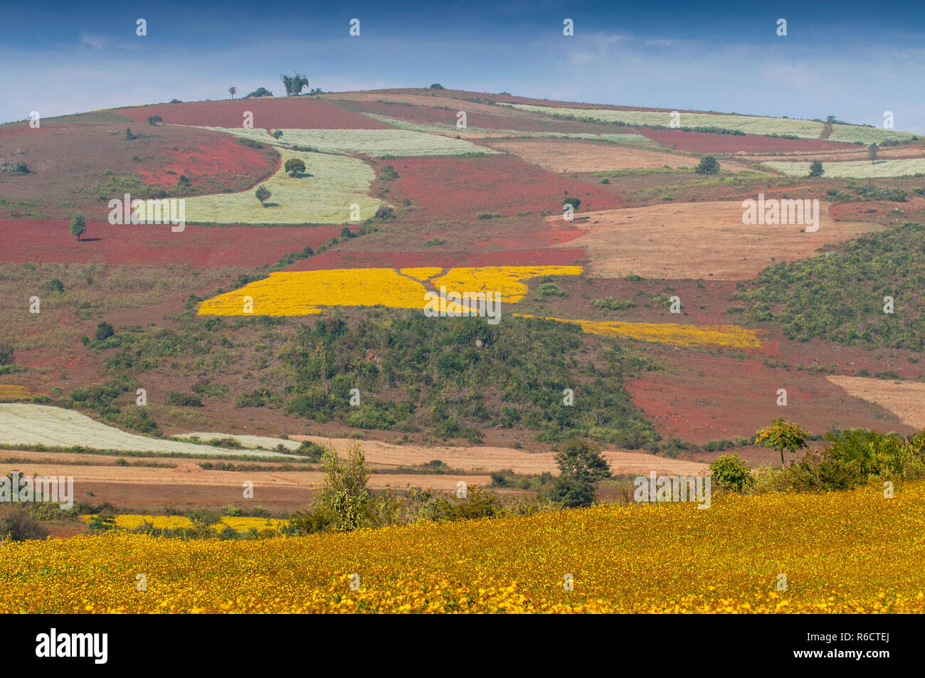 Beautiful landscape fields in shan hi-res stock photography and images ...
