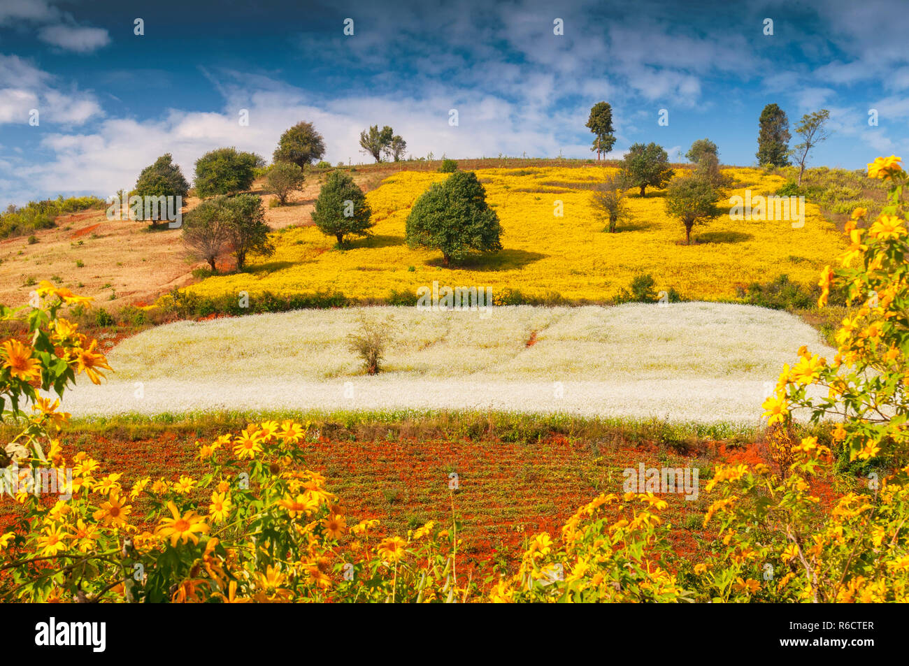 Beautiful Landscape Of Fields In The Shan State Of Burma Stock Photo ...
