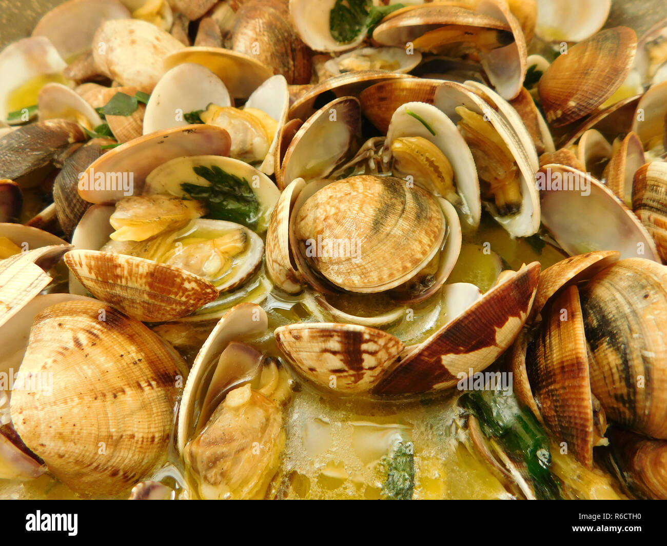 Coquina clam hi-res stock photography and images - Alamy
