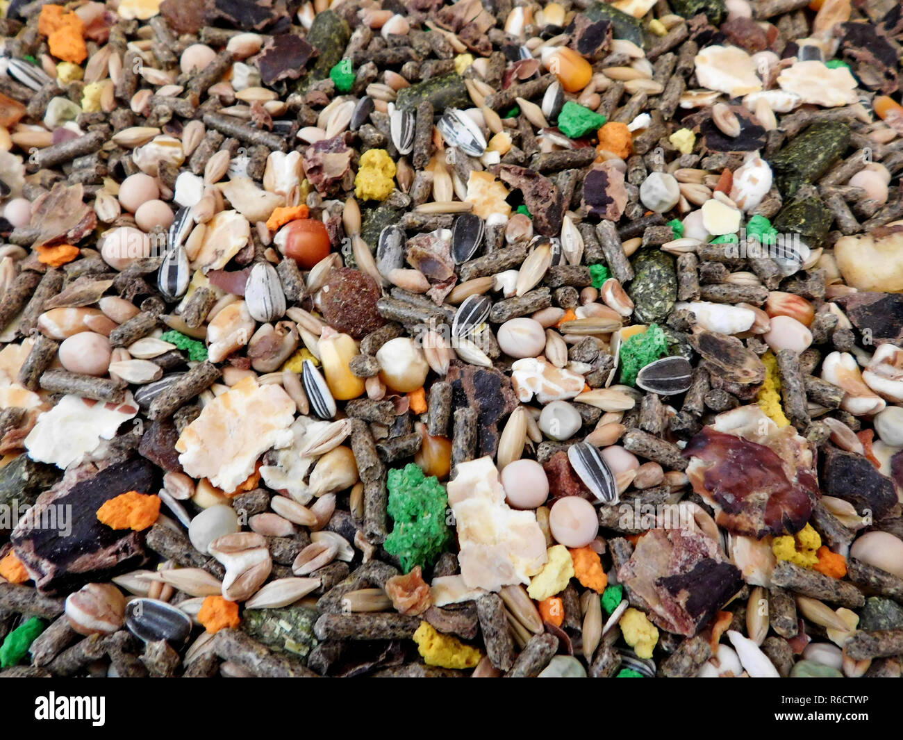 Compound feed hi-res stock photography and images - Alamy
