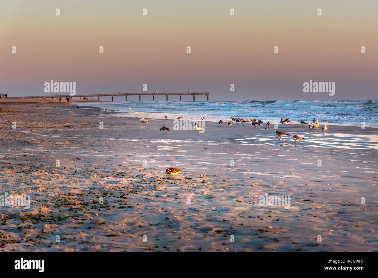 Miami Beach Fishing Pier 90 Miami Fishing Pier Stock Photos, High Res