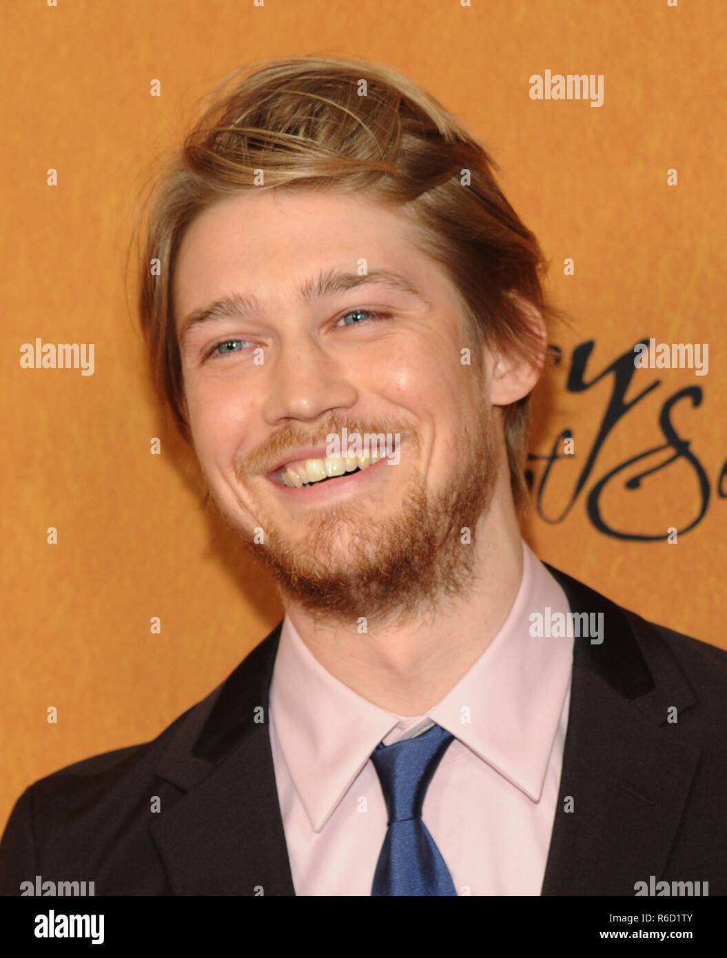 Joe alwyn mary queen of scots hi-res stock photography and images - Alamy