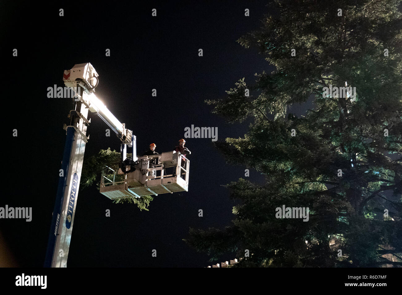 * NO WEB * NO DAILY * Rome, installation of the Christmas tree ...