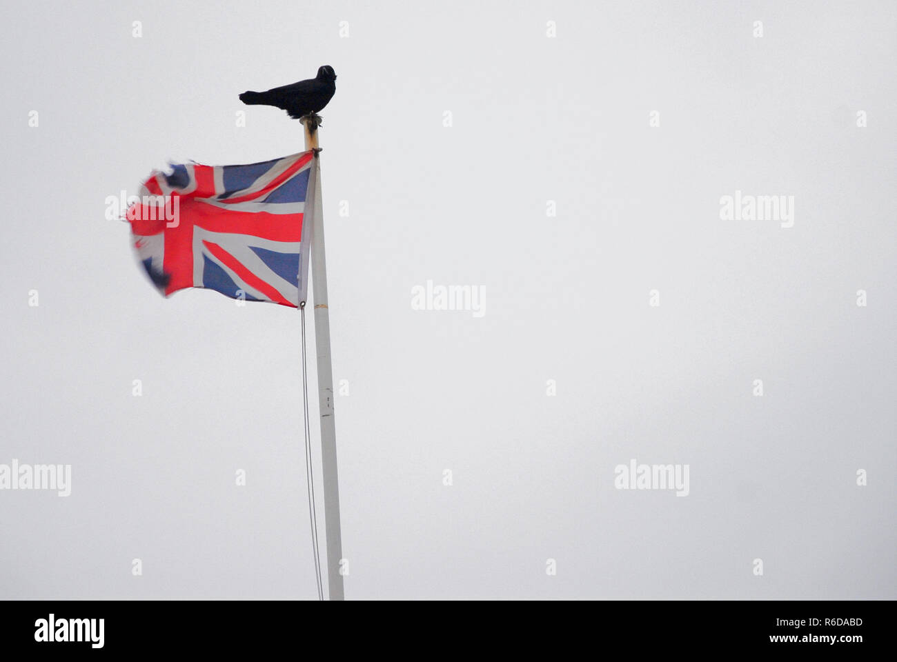 Weymouth, Dorset, UK. 5th December 2018. A carrion crow perches atop a ...