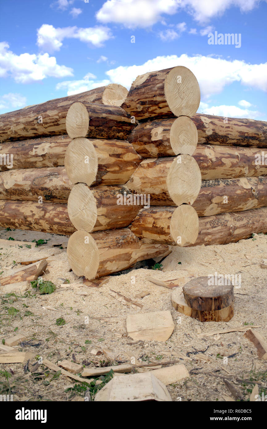 Construction of rural house from heavy logs against blue sky with ...