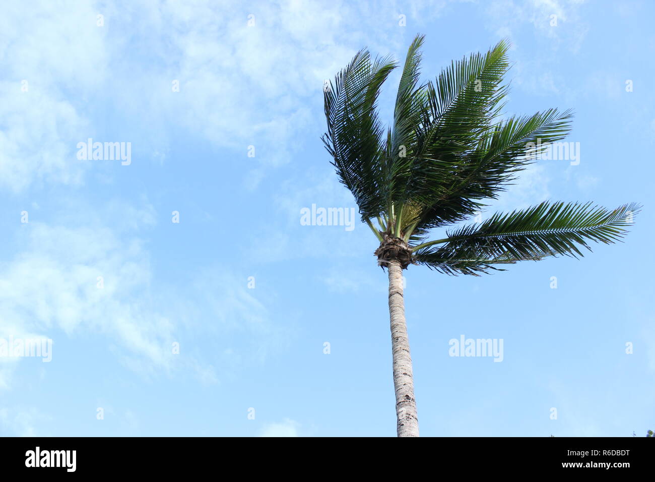 Hot and breezy hi-res stock photography and images - Alamy