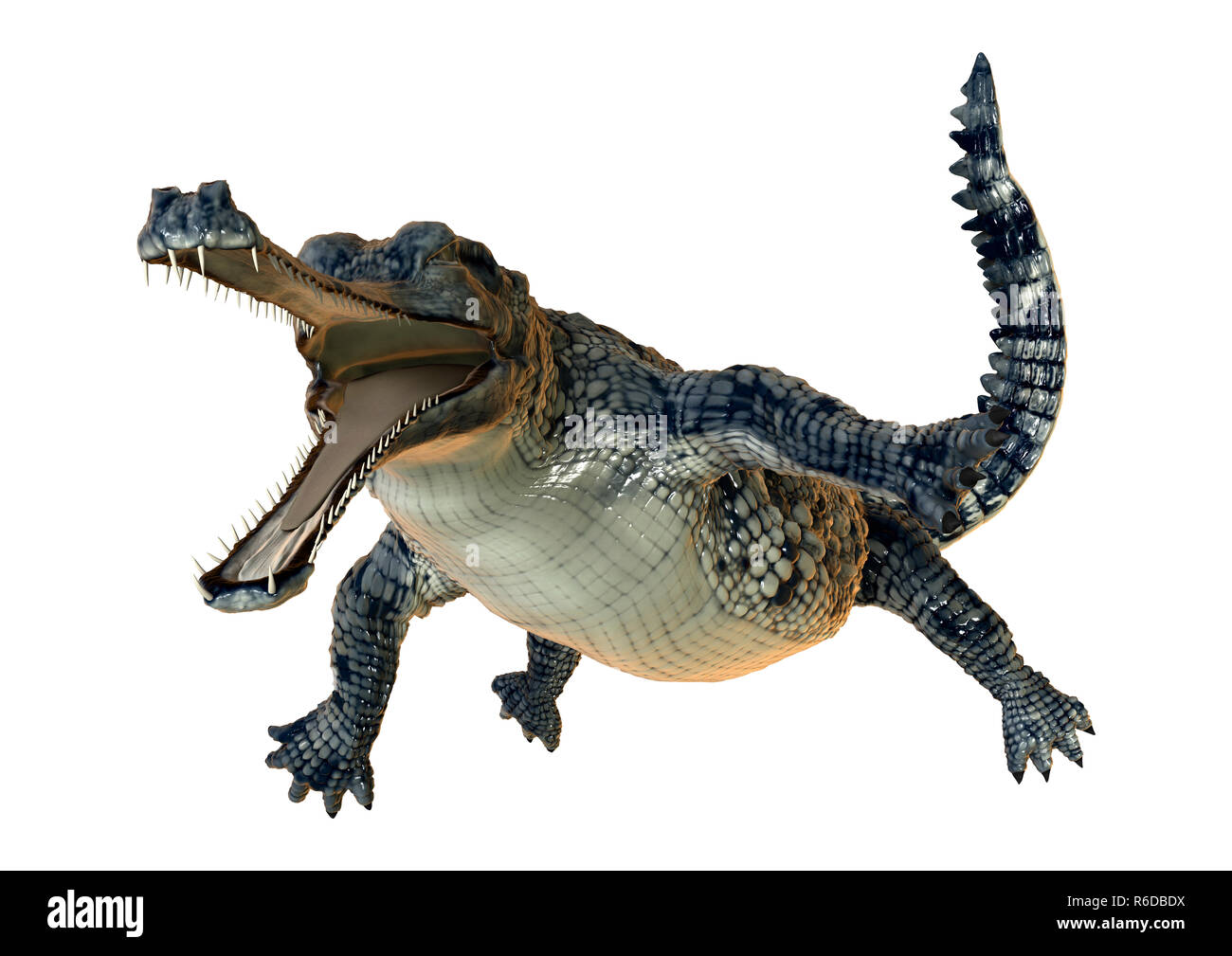 Gharial india Cut Out Stock Images & Pictures - Alamy