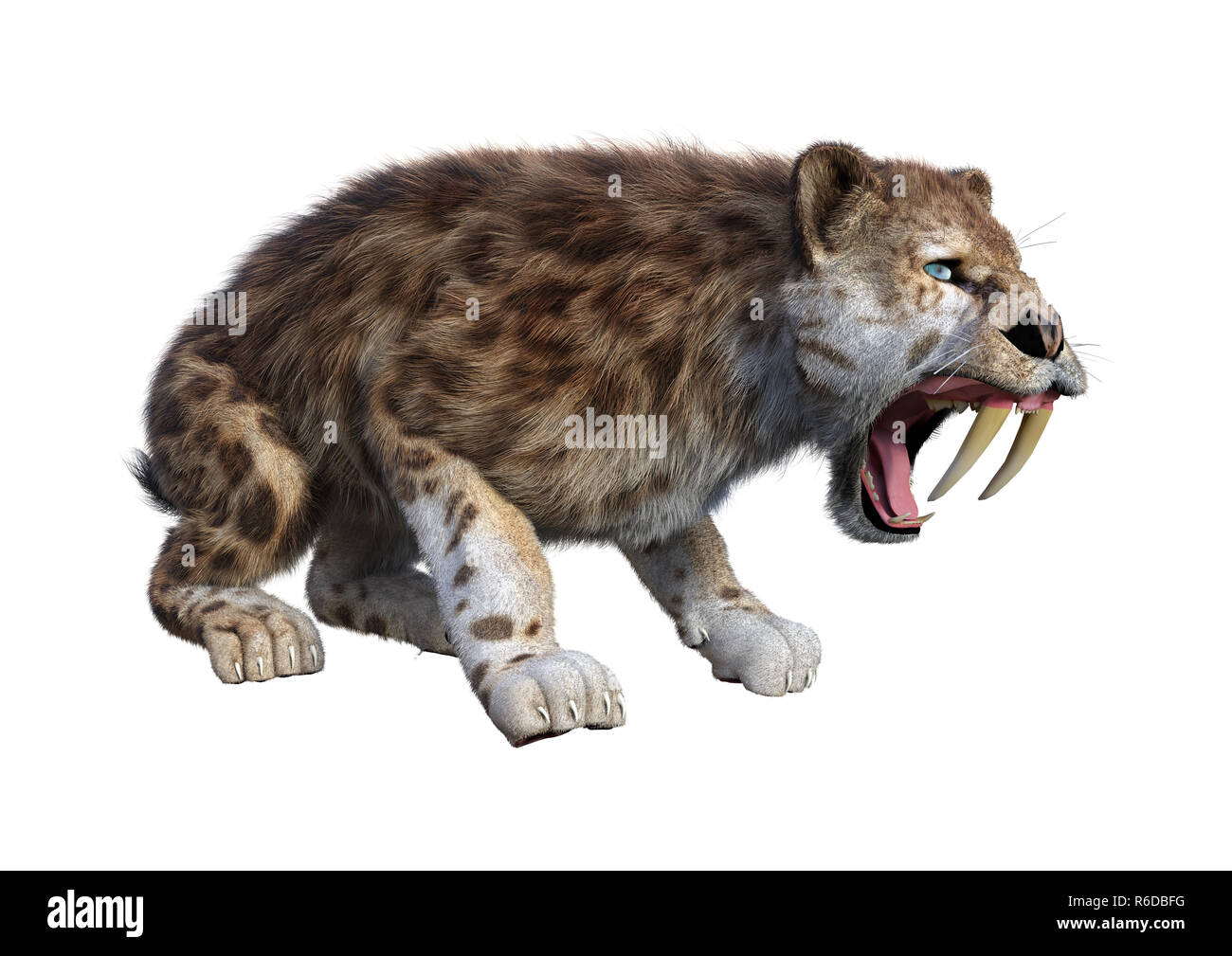 Sabertoothed Tiger High Resolution Stock Photography and Images - Alamy