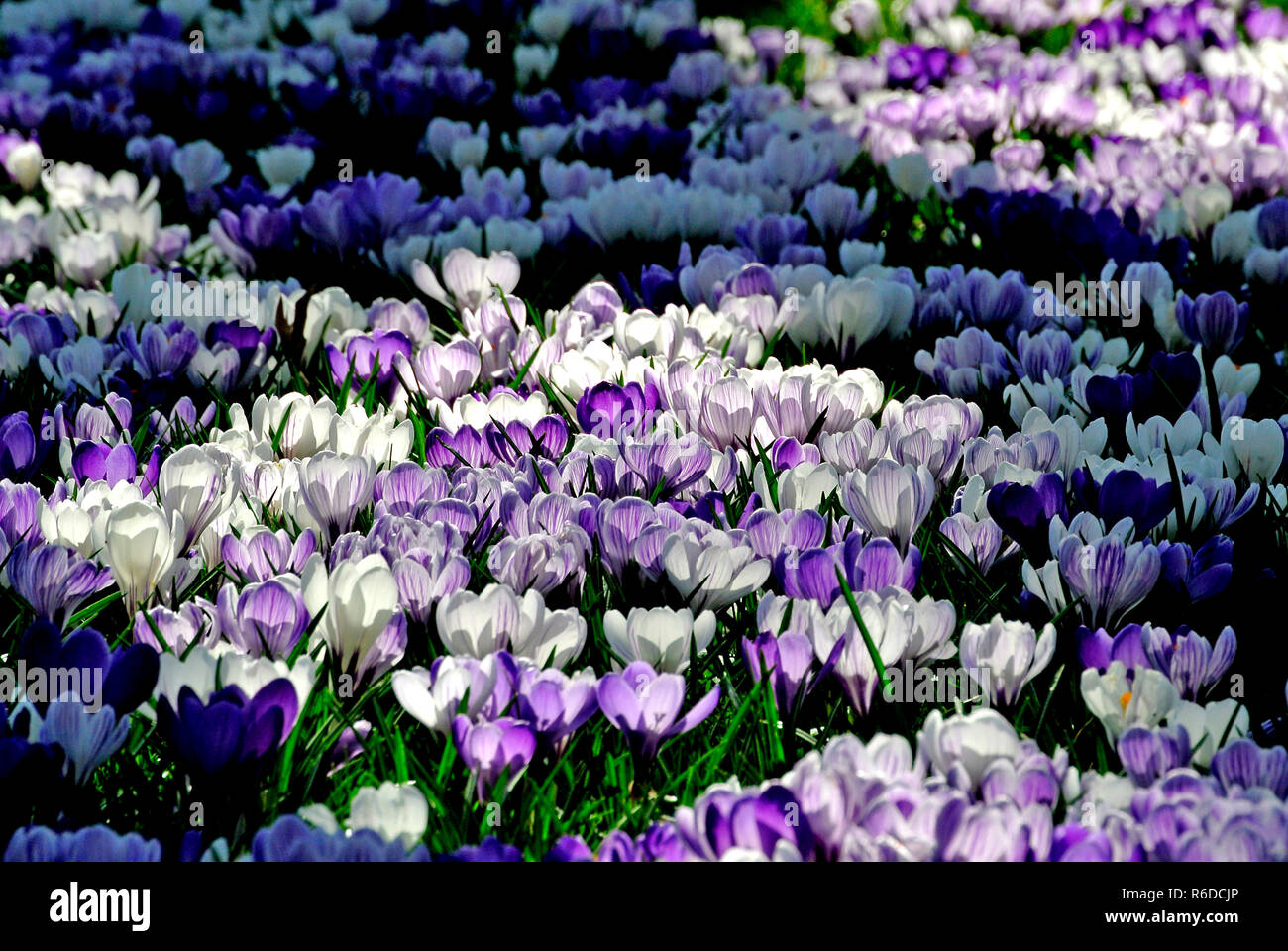 Spring in germany hi-res stock photography and images - Alamy