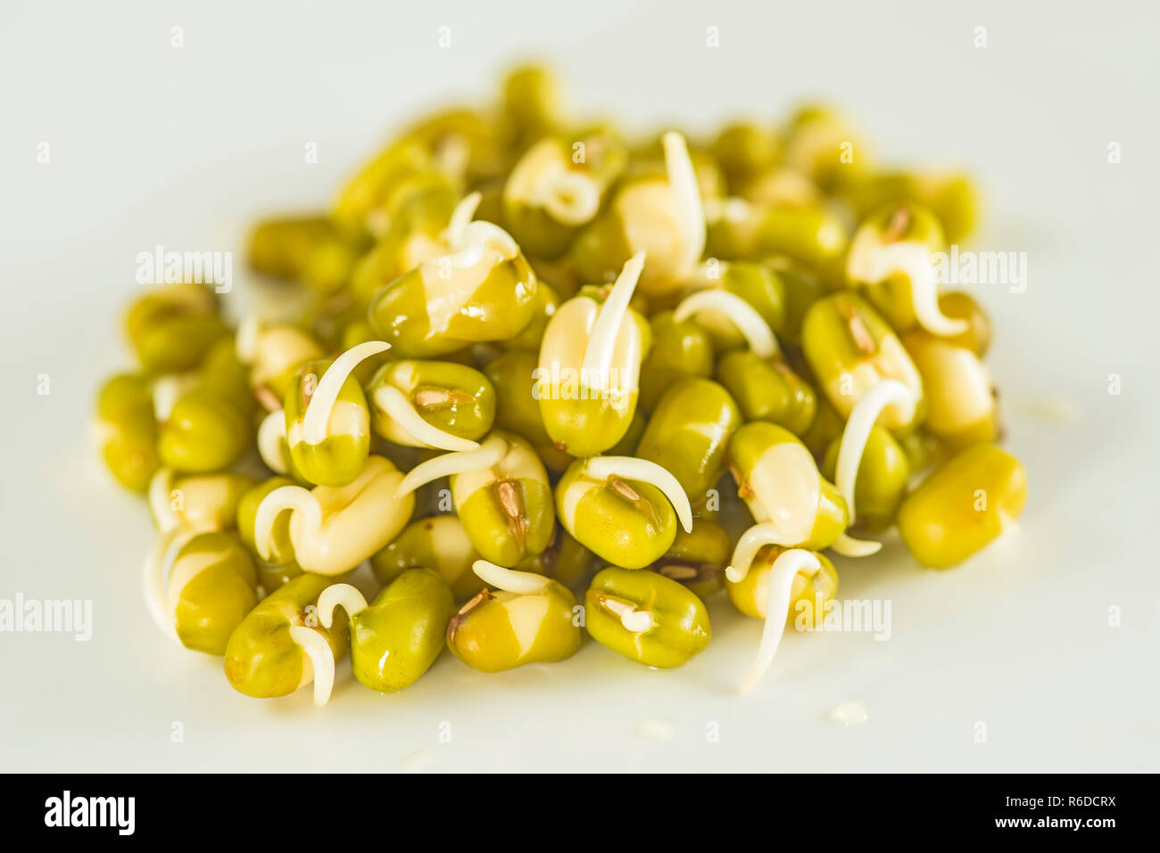 Soybean sprouts hi-res stock photography and images - Alamy