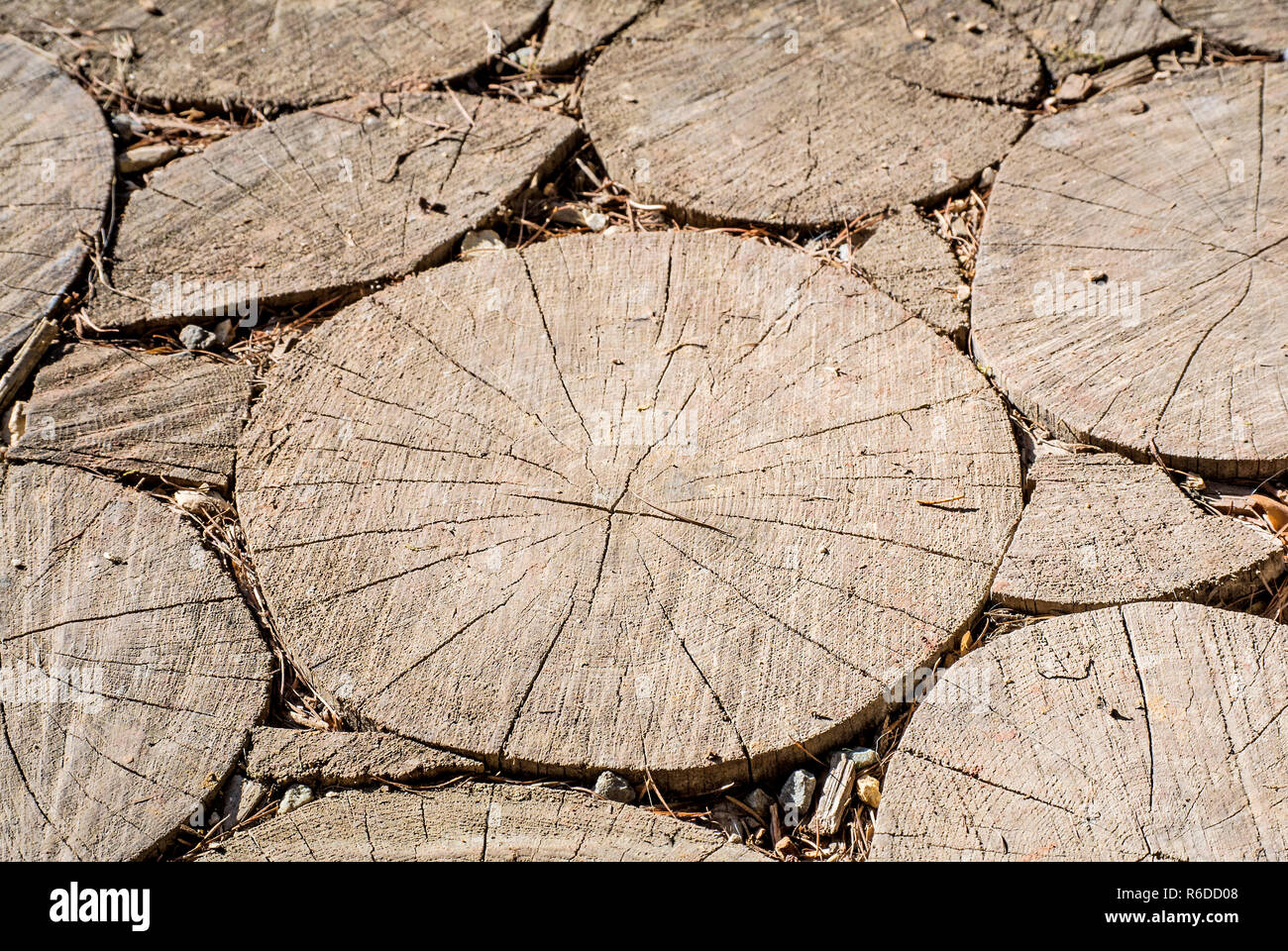 Floor cover hi-res stock photography and images - Alamy