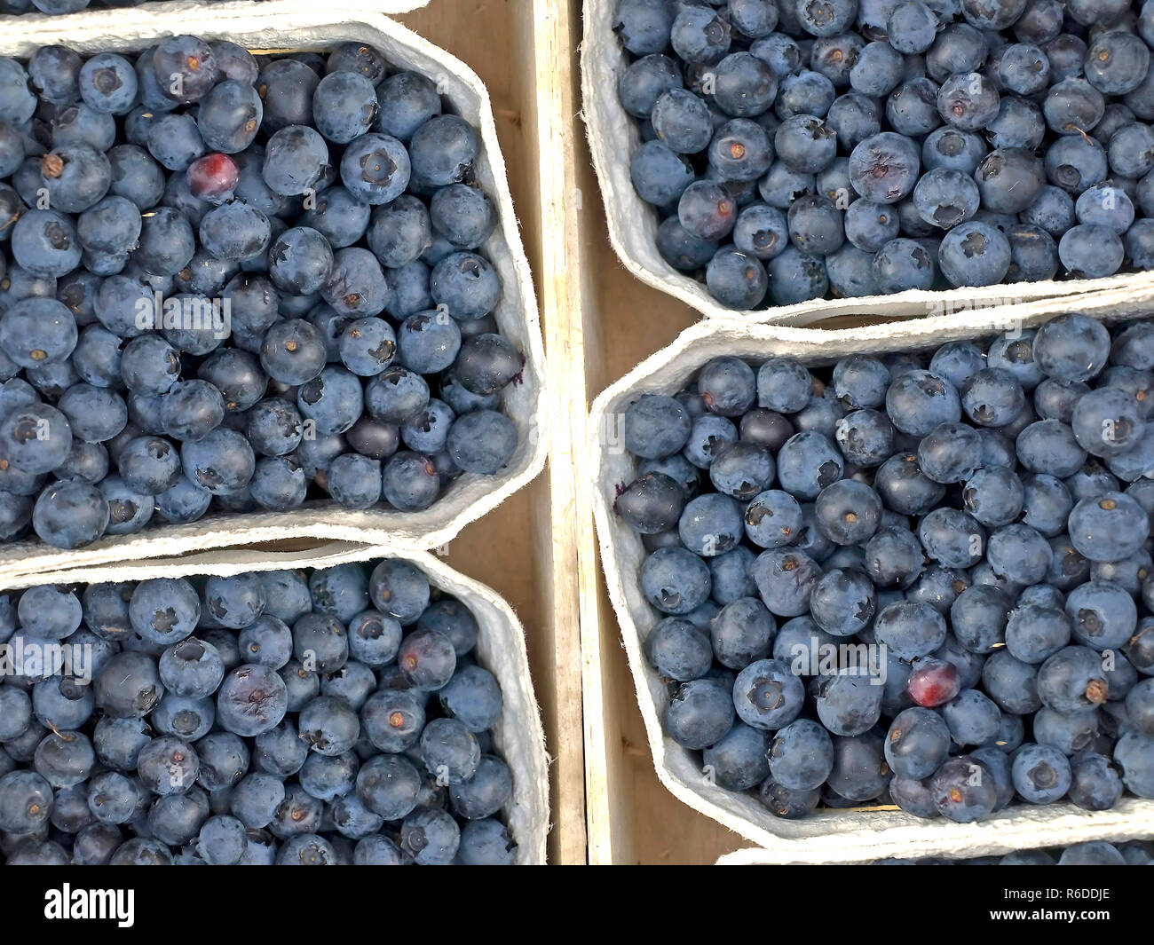 Packed blueberries hi-res stock photography and images - Alamy