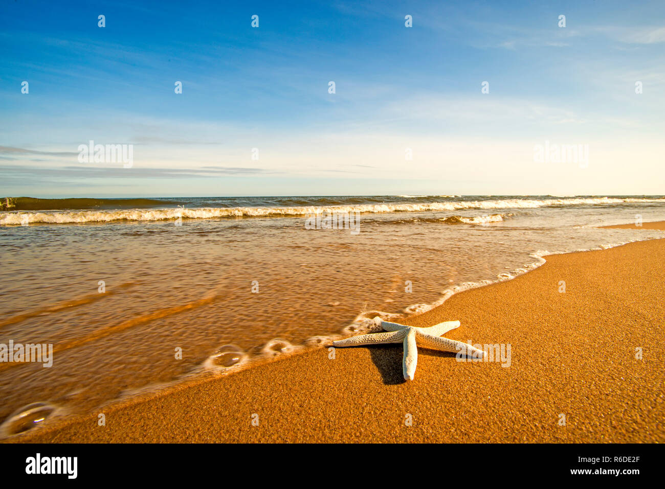 Surf star hi-res stock photography and images - Alamy