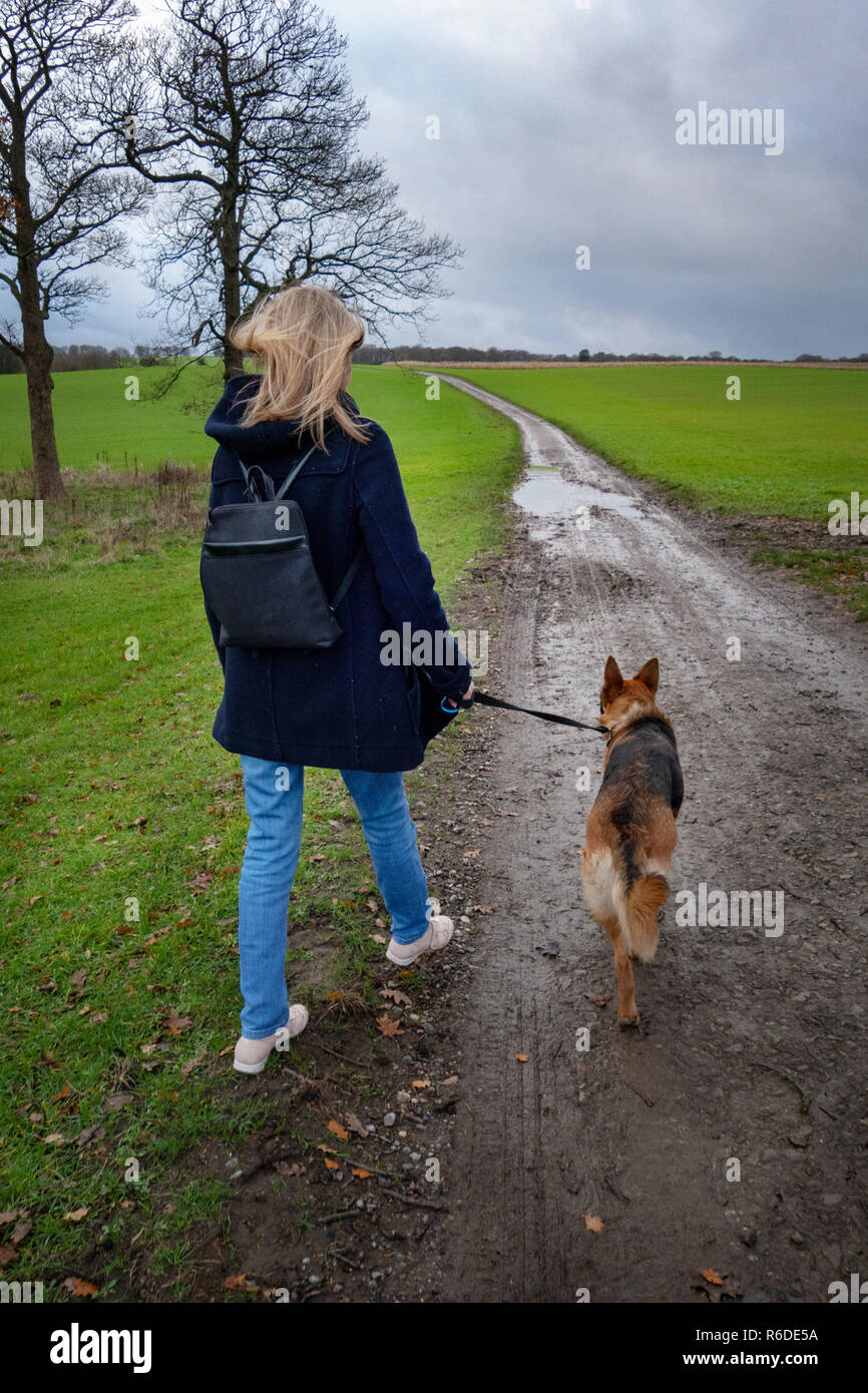 Young woman walking dog on the English Pennine Way on a winters day ...