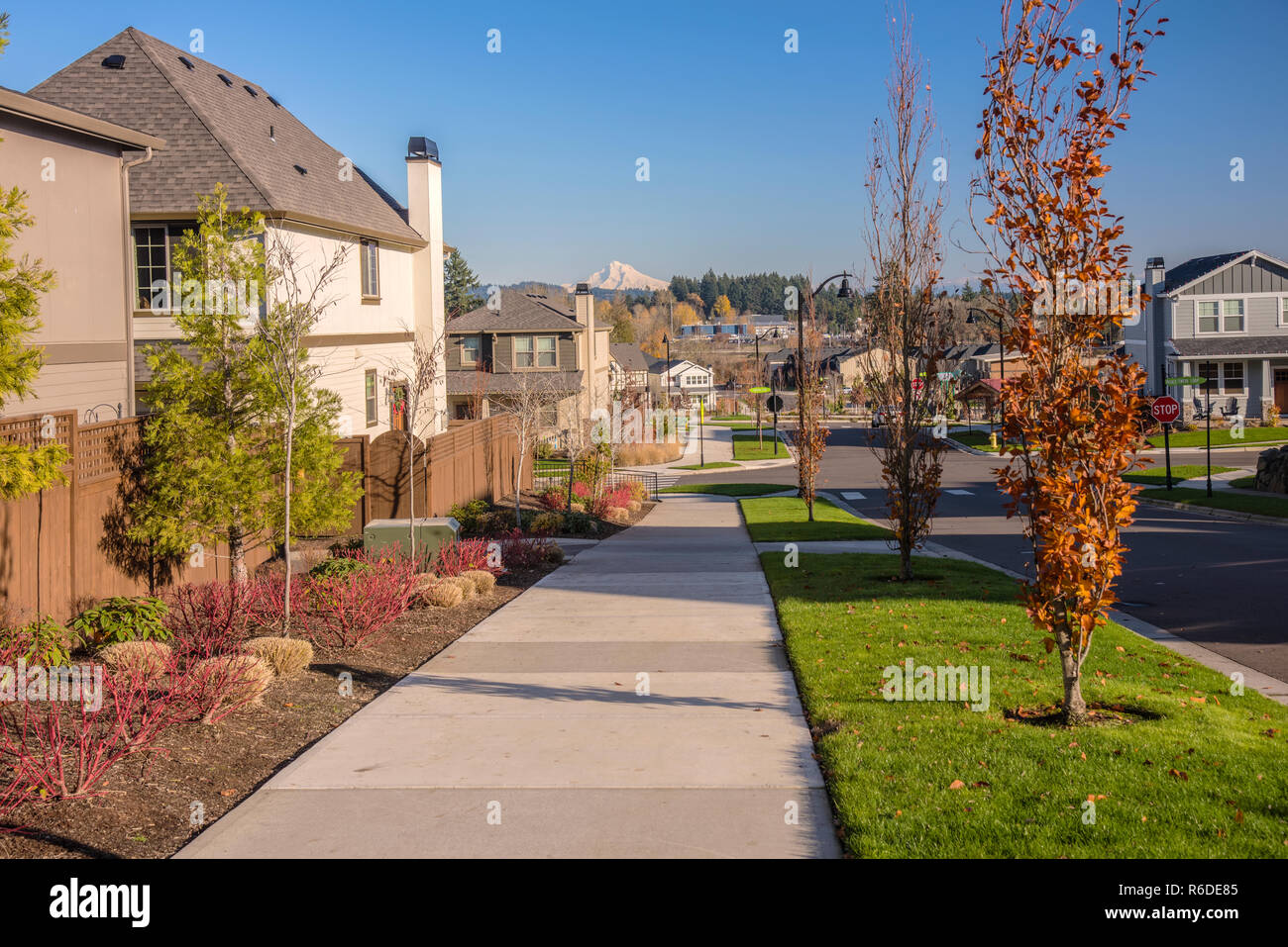Street neighborhood with a view in Wilsonville Oregon Stock Photo - Alamy