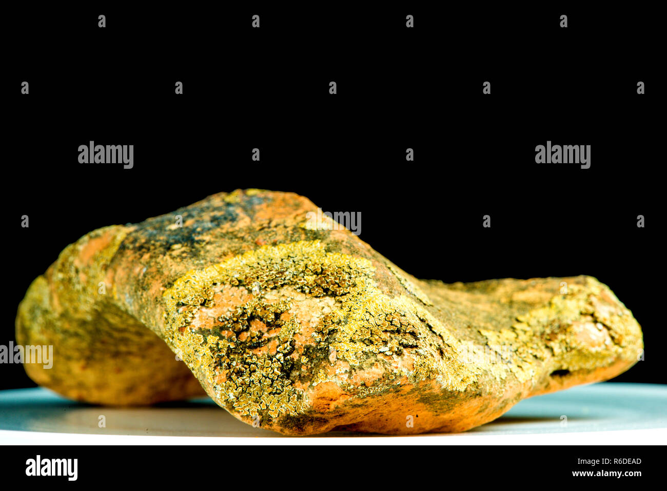 Potsherd hi-res stock photography and images - Alamy