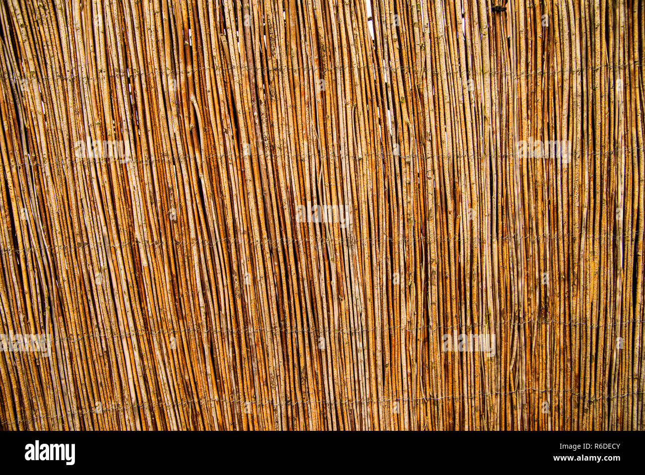Screen Protection From A Reed Mat Stock Photo - Alamy