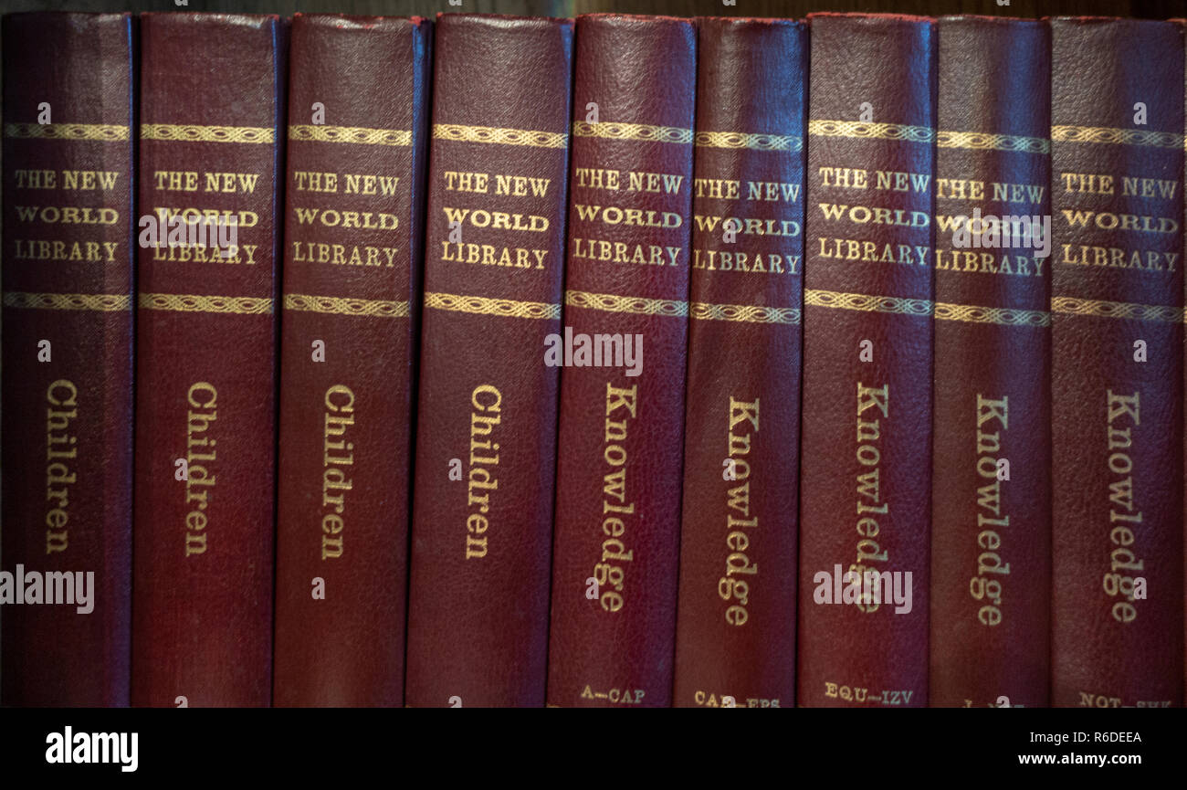 Set of New World Library Books illustrated Encyclopedia on a book shelf ...