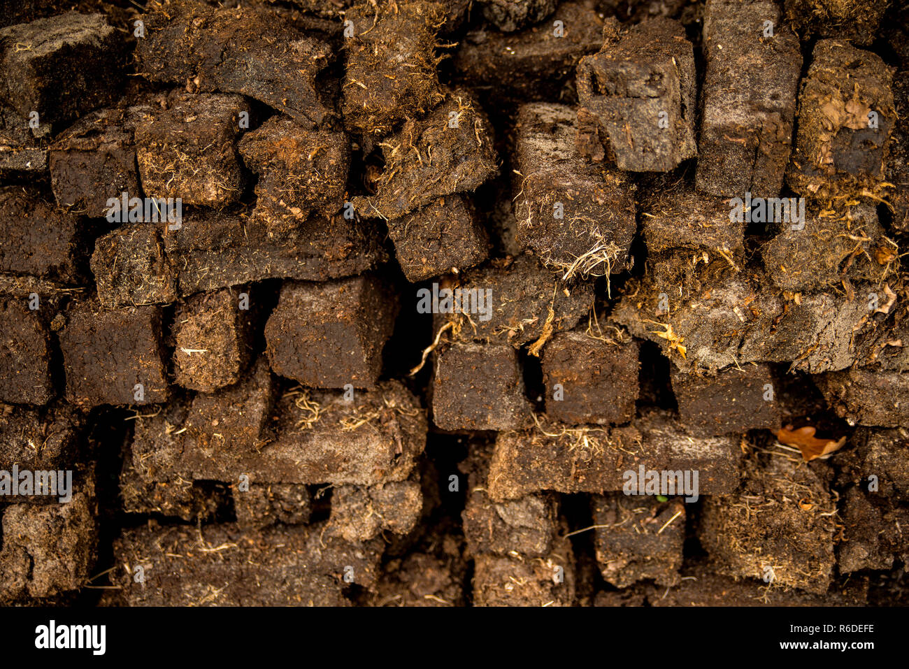 Peat, Closeup Of A Stock Stock Photo - Alamy
