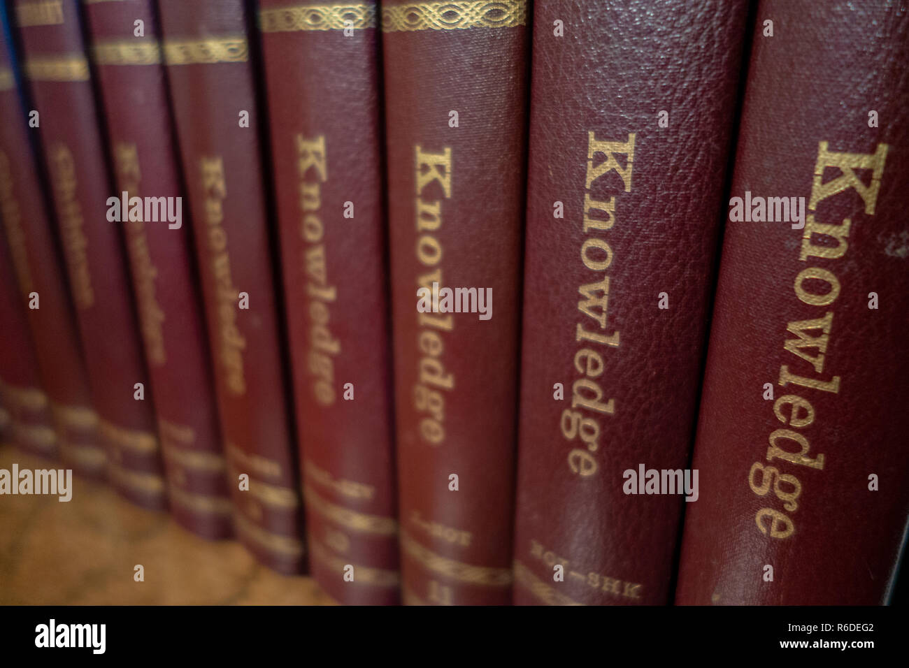 Closeup of a Set of The New World Library of Knowledge Books ...