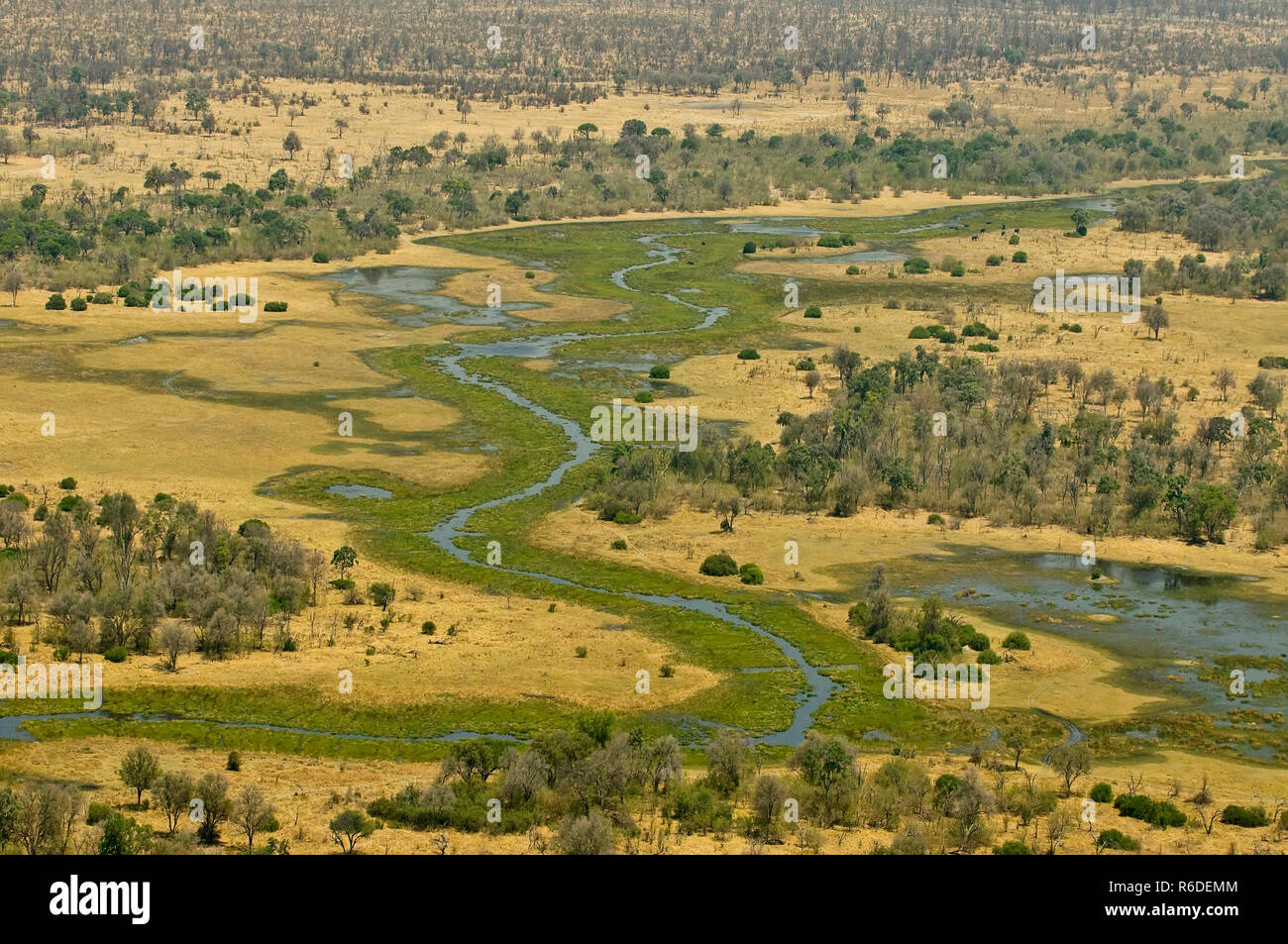 Africa, Botswana, Okavango Delta Stock Photo - Alamy