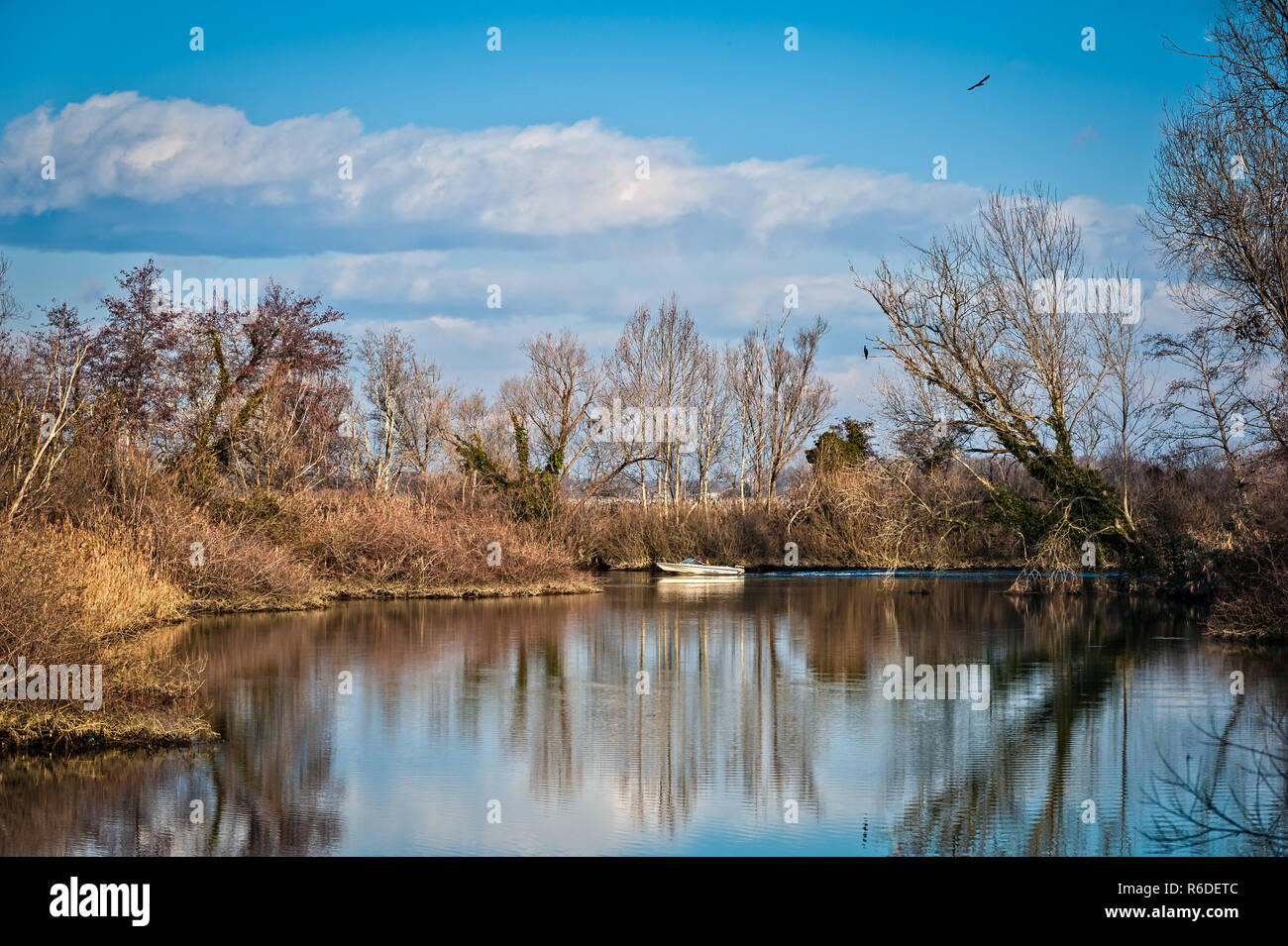 Nature scene, lake ,boat and trees Stock Photo - Alamy