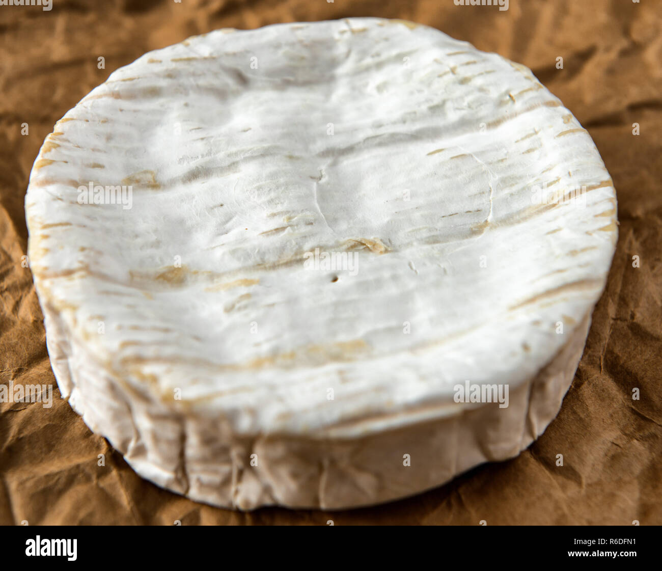 Camembert cheese traditional Normandy French, dairy product Stock Photo ...
